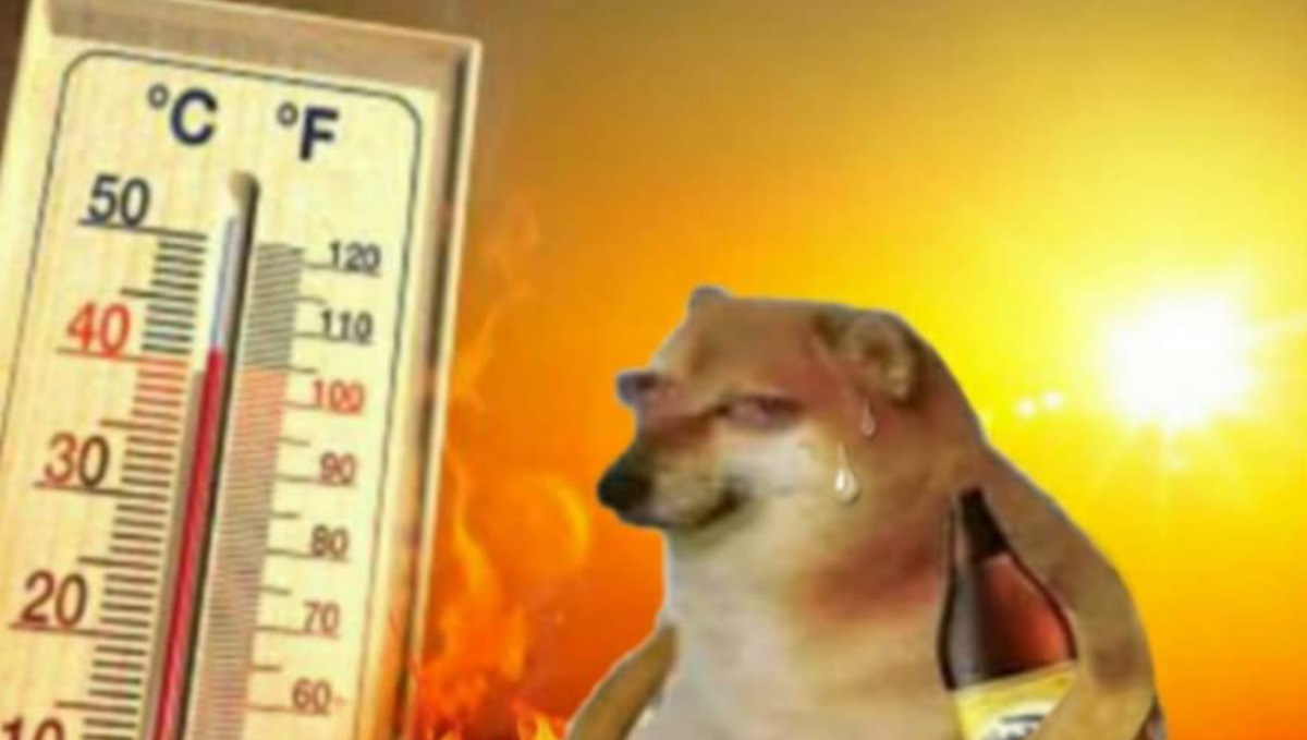 Los mejores memes del calor extremo en México - GoBizNext