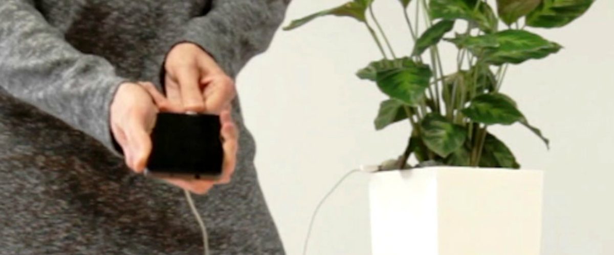 Bioo Lite, la maceta que recarga tu celular