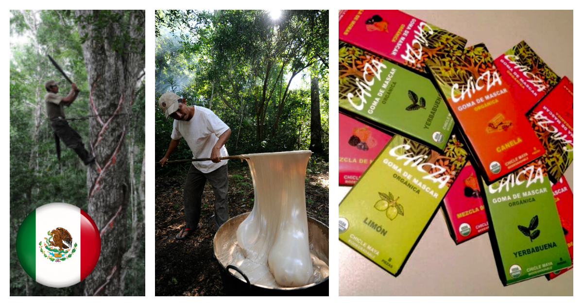 Chicle 100% mexicano está conquistando el mundo