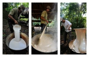 Chicle 100% mexicano está conquistando el mundo