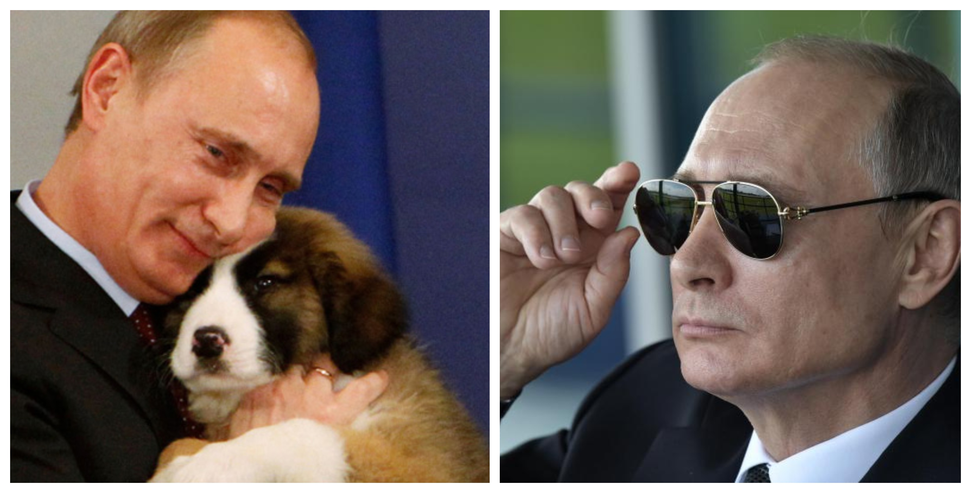 Los costosísimos y lujosos perros con los que rinden tributo a Putin ...