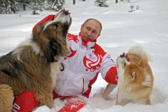 Los costosísimos y lujosos perros con los que rinden tributo a Putin ...