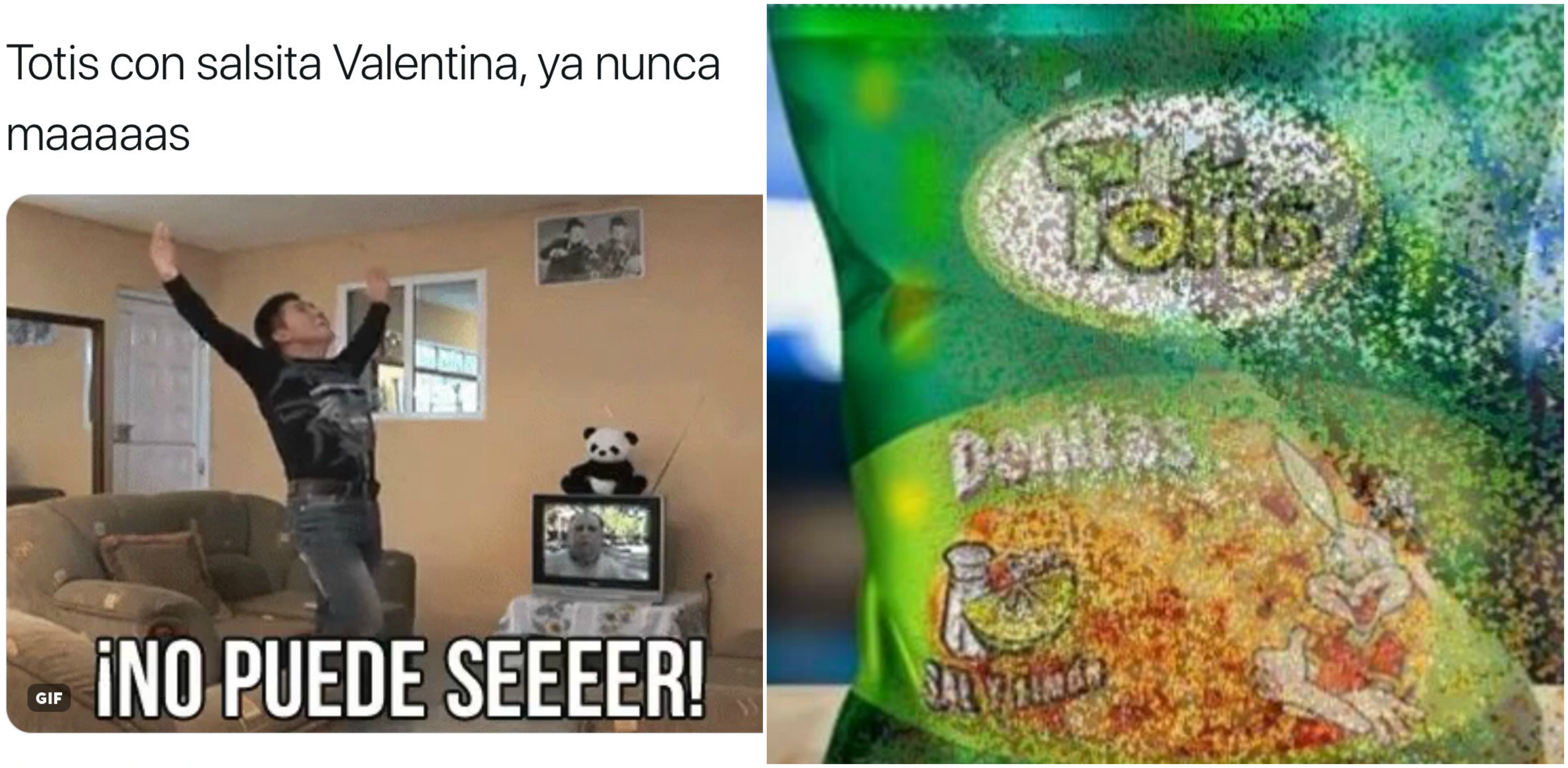 Internet despide a los Totis con estos memes y tuitazos