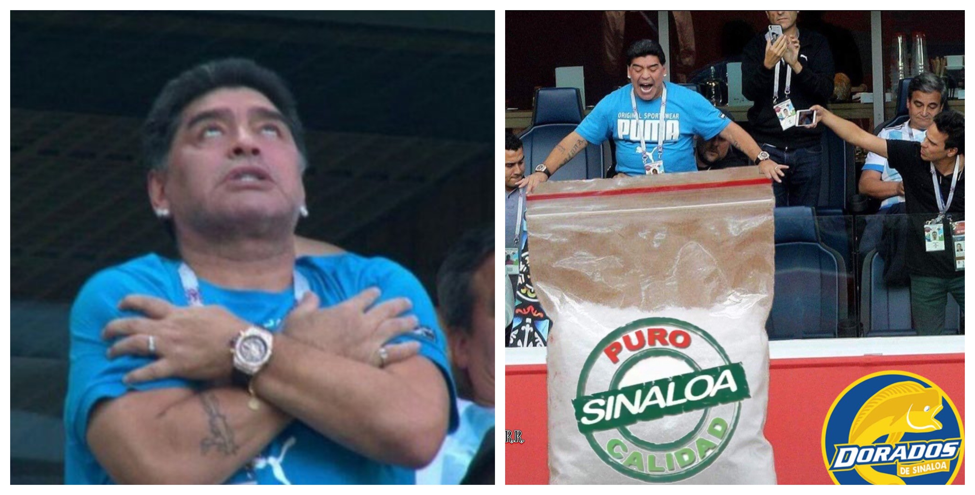 Maradona entrenará a los Dorados de Sinaloa y los mexicanos le dan la ...