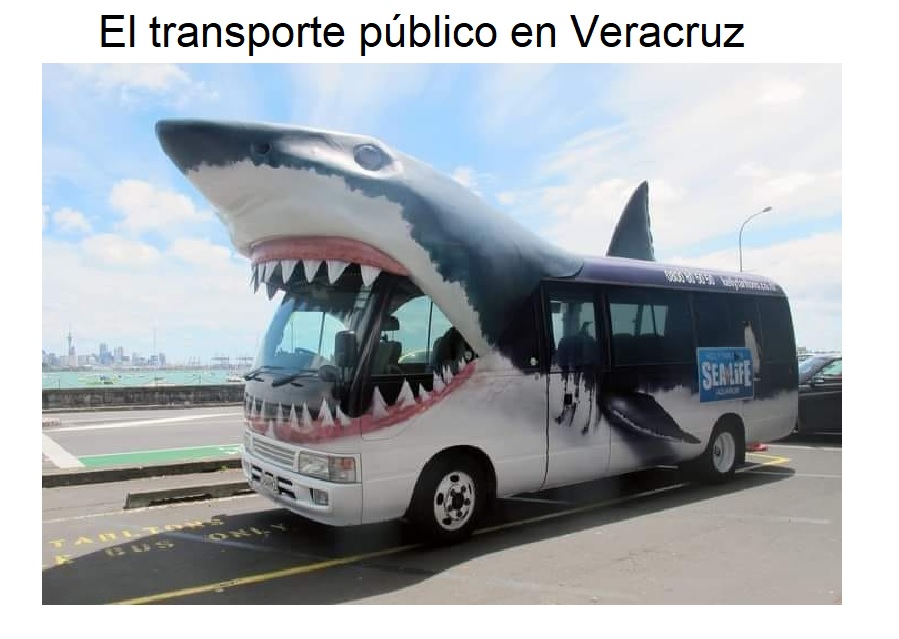 Los mejores memes de vivir en Veracruz - GoBizNext